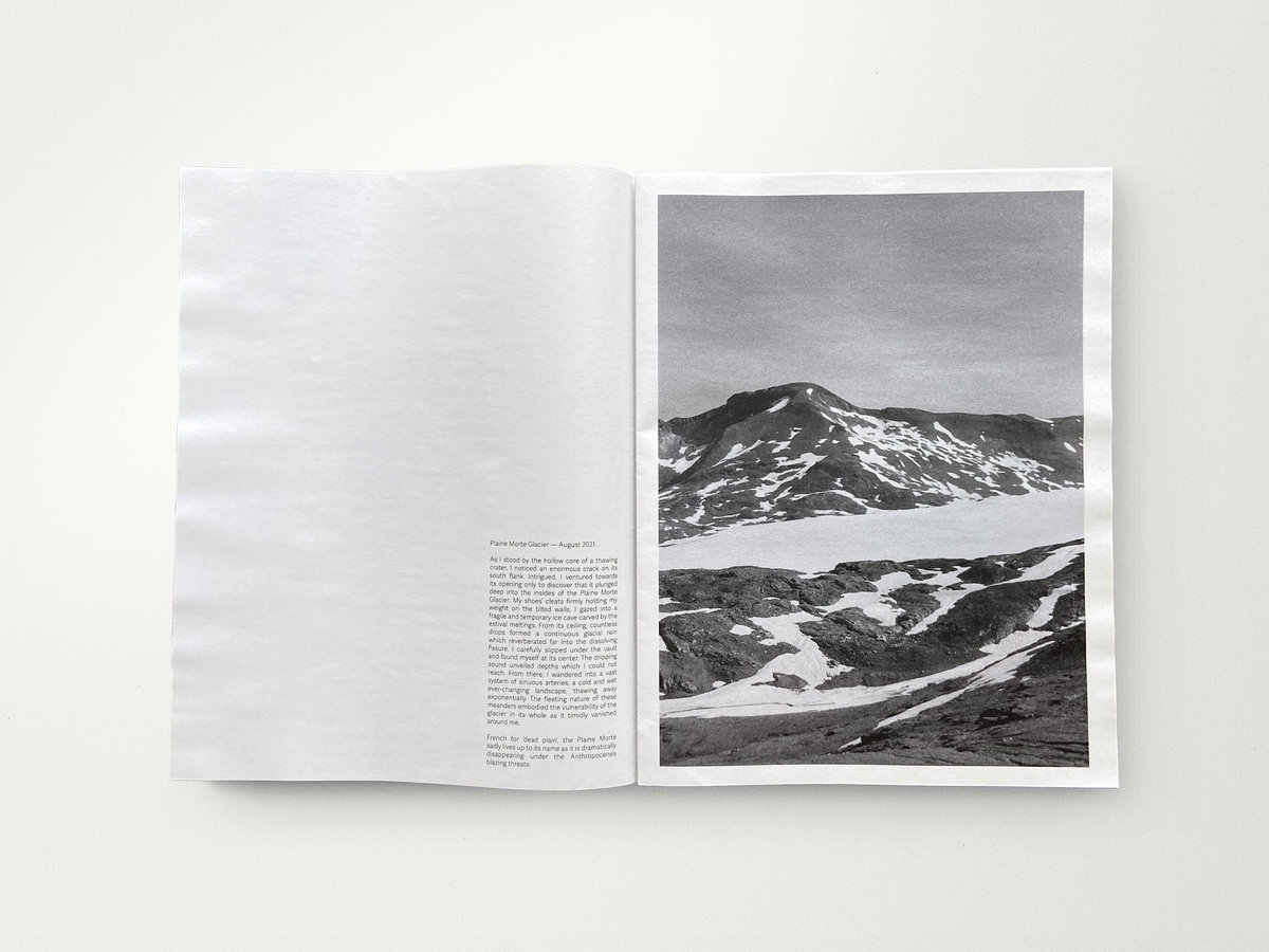 pablo diserens 'glacial meanders' | forms of minutiae