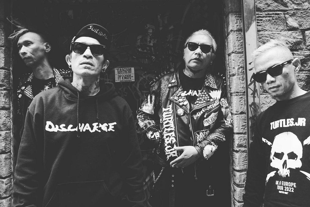 THE BEST OF TURTLES JR | Turtles Jr | TURTLES JR