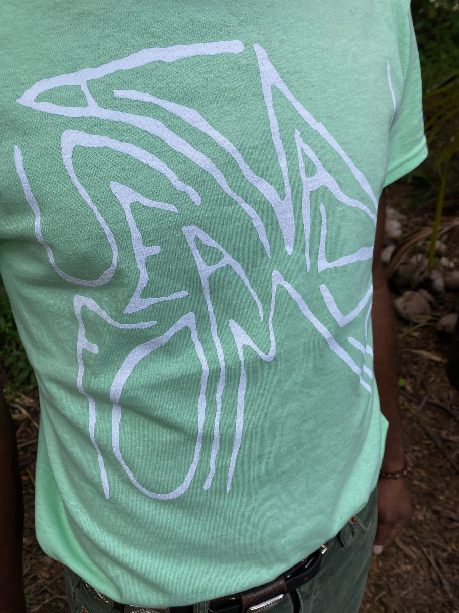 Seafoam Walls Logo II | Seafoam WALLS