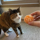 MIX. 02 - BOTHERED! | Femtanyl