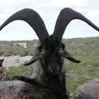 Relapse Records: 25 Years of Contamination | Various Artists | Relapse ...