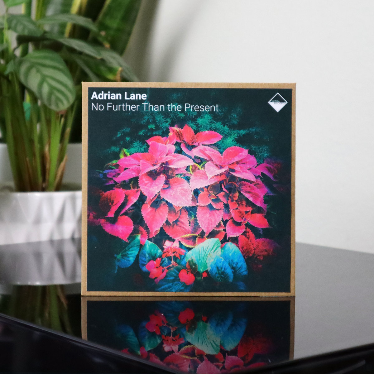 No Further Than the Present | Adrian Lane | Chitra Records