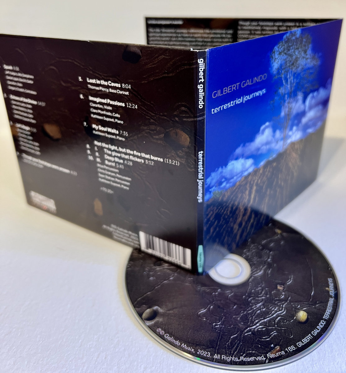 Terrestrial Journeys | Gilbert Galindo