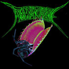 The Cosmic Cornucopia | Slugdge