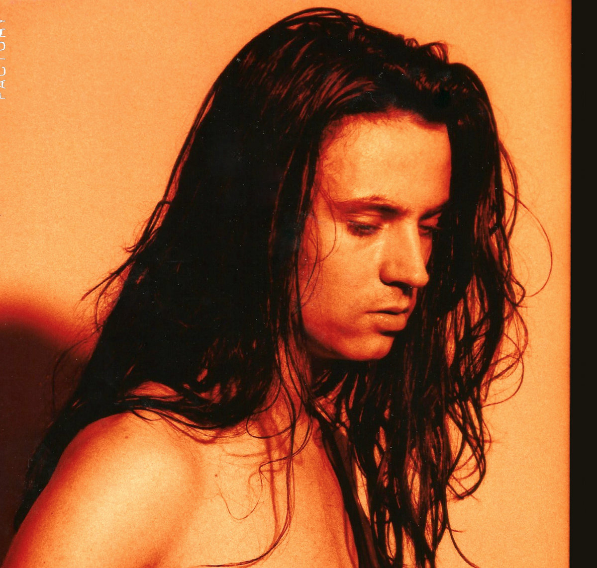 Twentieth Century Jaye | Jaye Muller