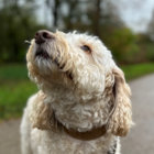 A Million Miles Away | マクロスMACROSS 82-99 | Neoncity Records