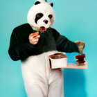 Another Light | Red Vox | Vine