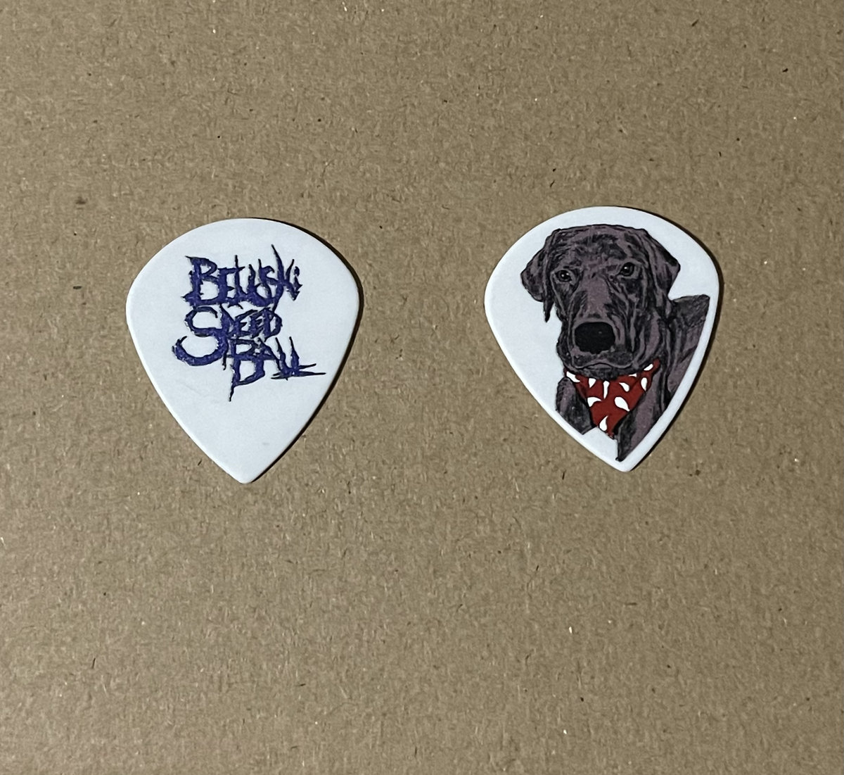 Official Jamison Land, Biscuit Puppy Guitar Pick 1.0 Jumbo Jazz ...