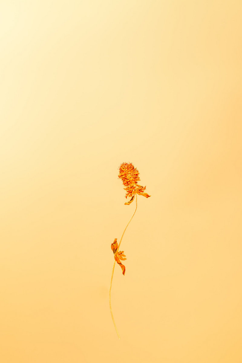 Look Now Look Again | Helen Nguyen