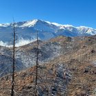 Spirit World Field Guide | Aesop Rock