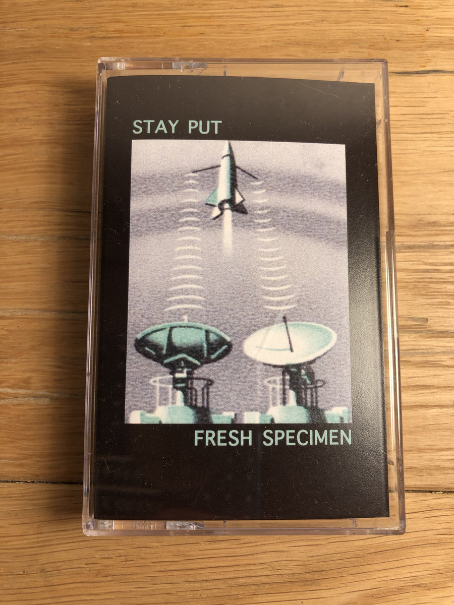 Stay Put / Fresh Specimen split | Fresh Specimen, Stay Put | Fresh Specimen