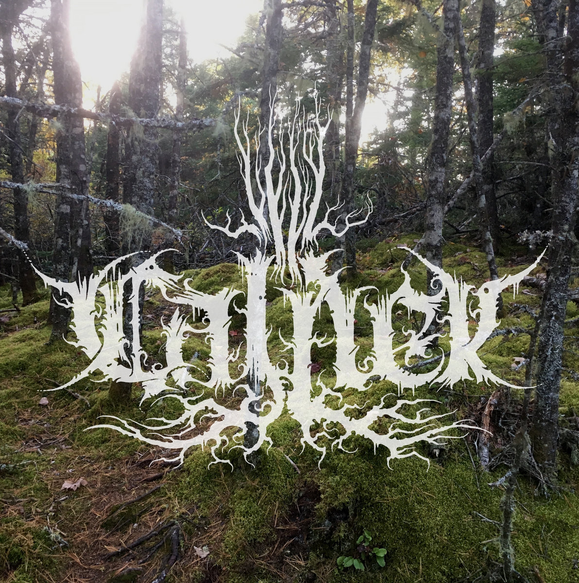 Blood of the Wild | Calnek