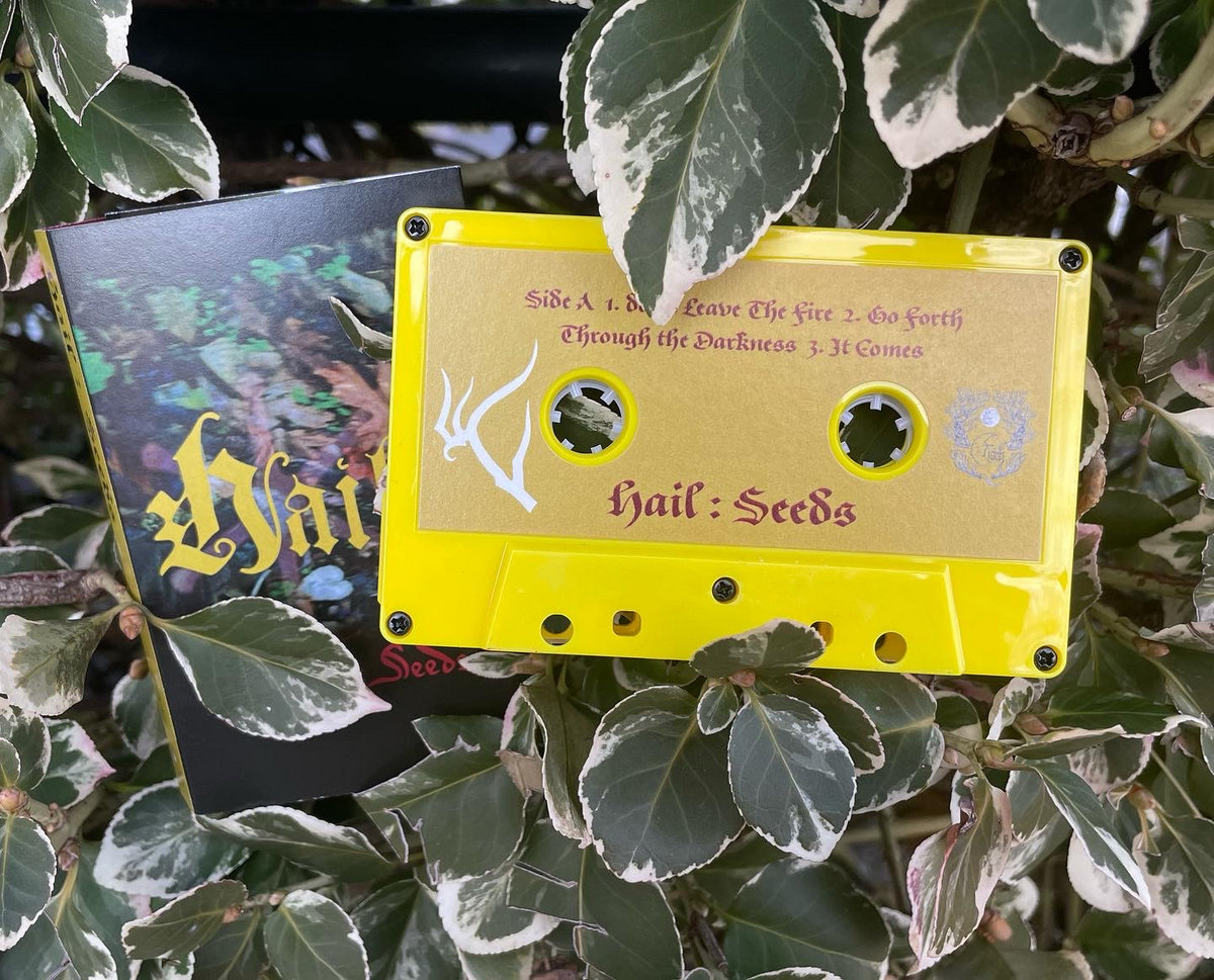 Seeds | Hail | Fiadh Productions