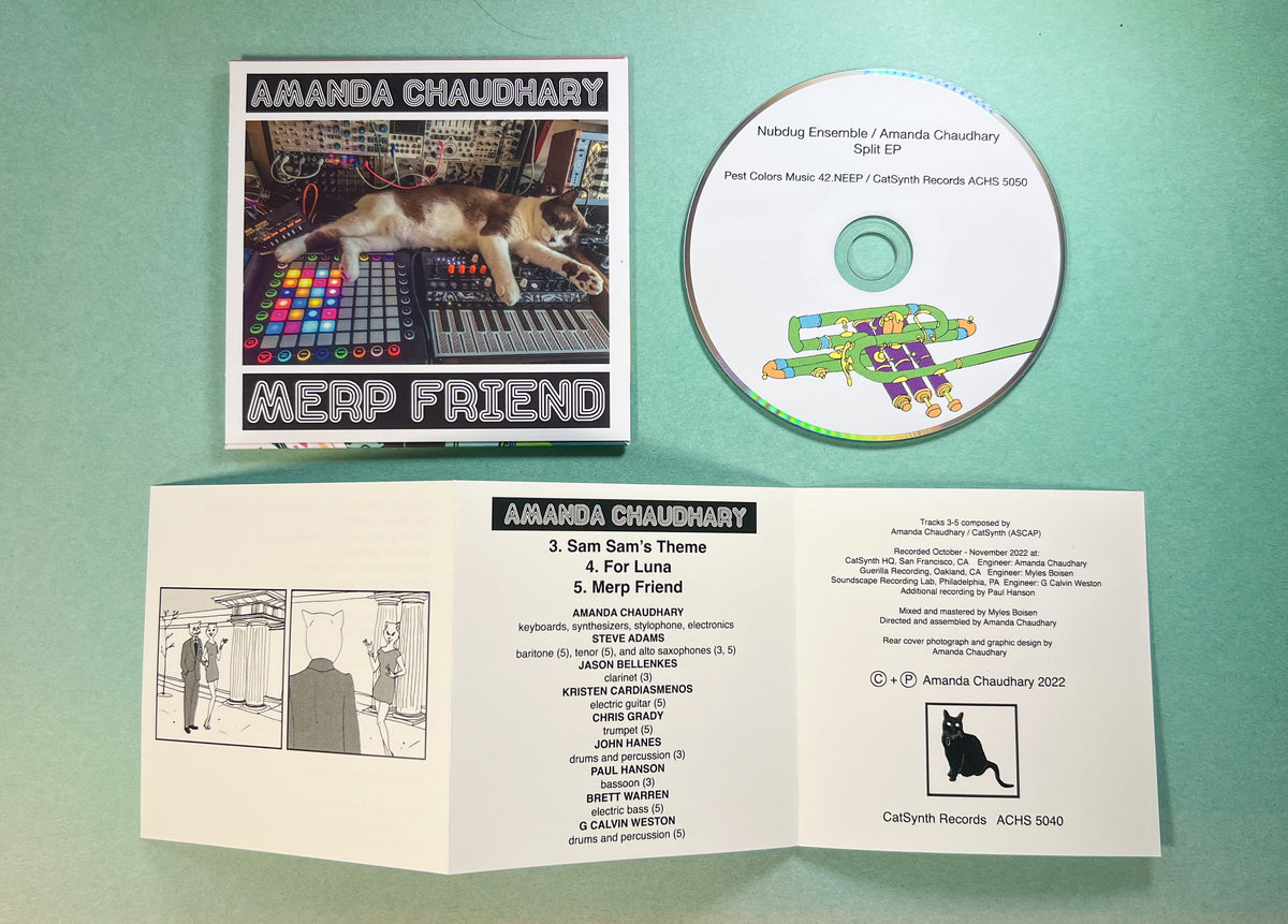 Merp Friend | Amanda Chaudhary