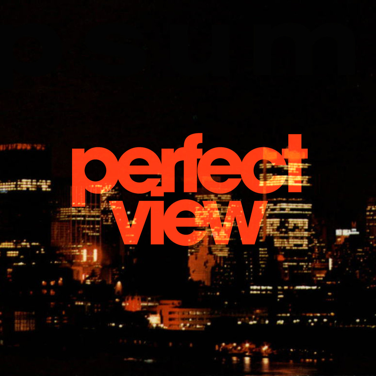 Artists | Perfect View Records