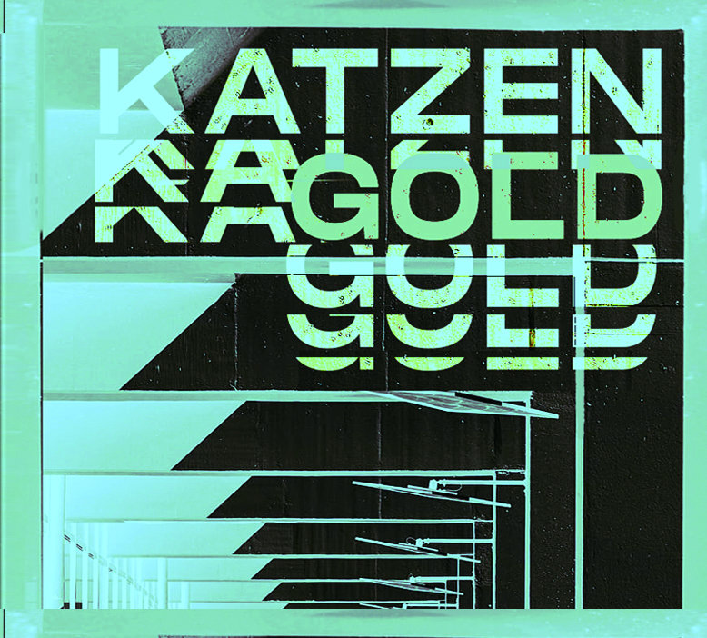 New Public Management | Katzengold