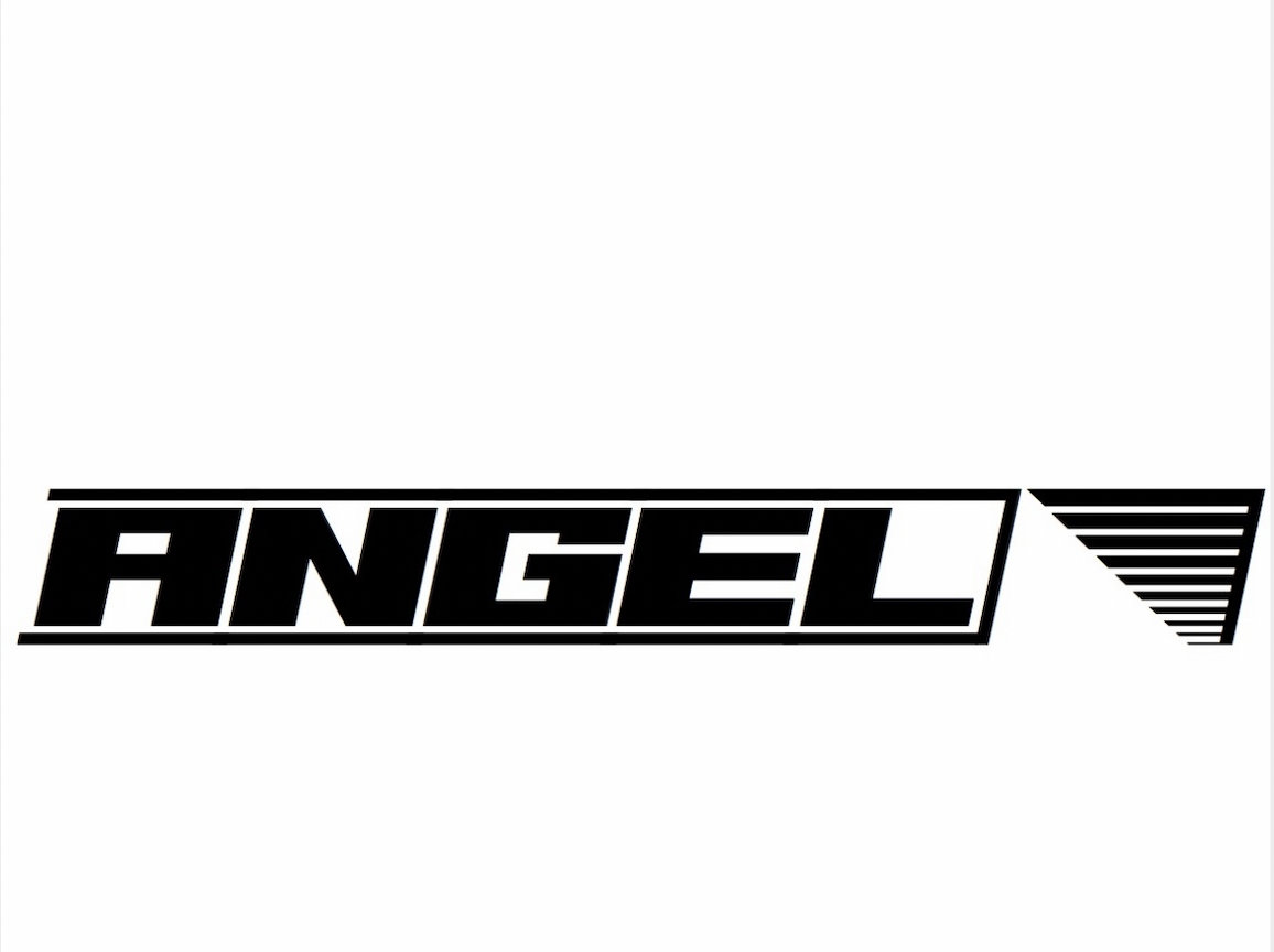 bootleg shirt | angel ltd