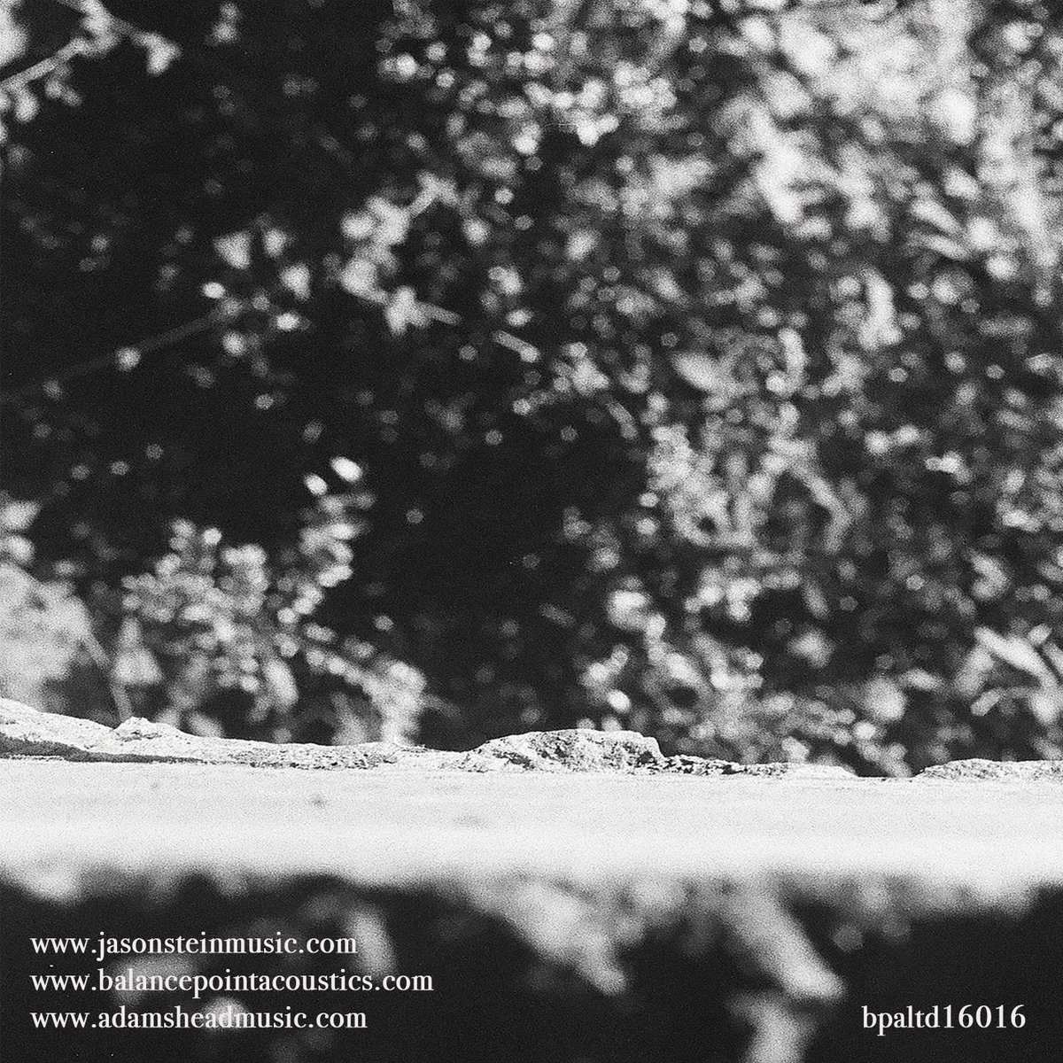 Volumes & Surfaces | Jason Stein / Damon Smith / Adam Shead | Adam Shead