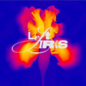 Music | Left Iris