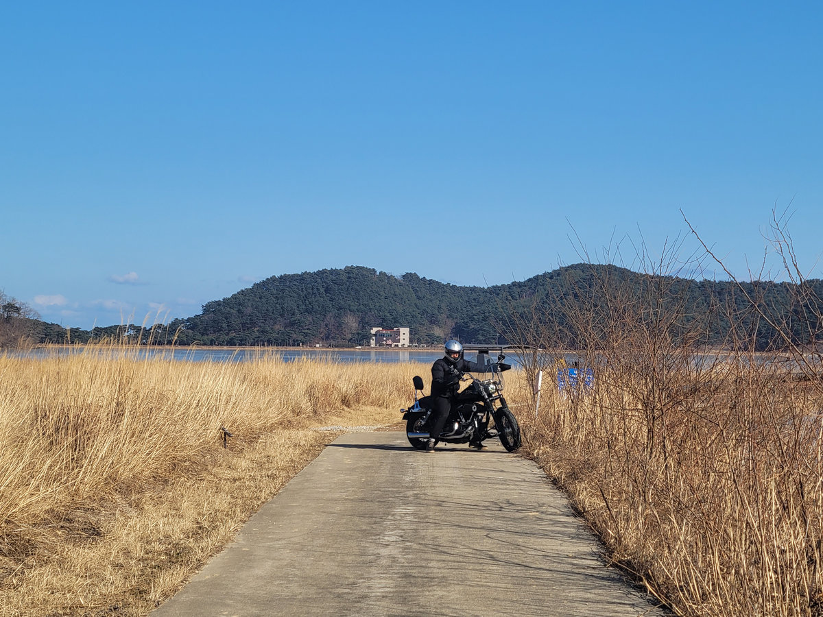 Nordmann Cook | Seaside Ride North