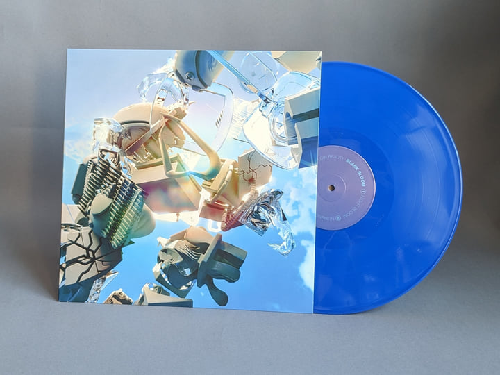 Blank Vinyl Album Cover