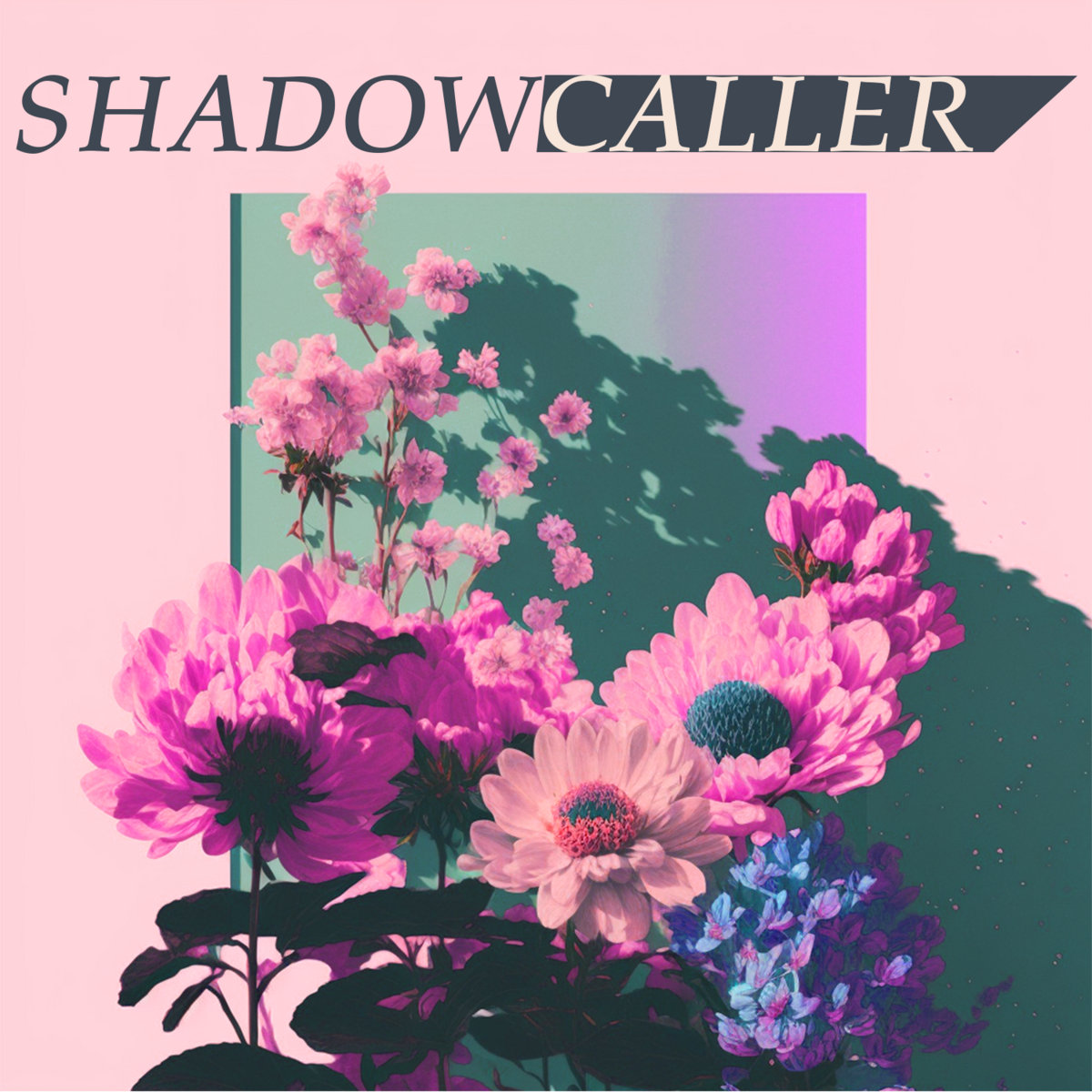 Entropy | Shadowcaller