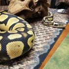 Spirit Possession | SPIRIT POSSESSION | Spirit Possession