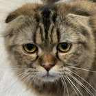 Warm Blood | Blithe Field