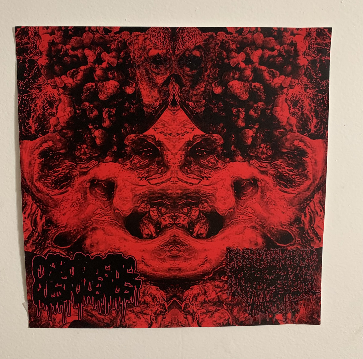 OSTEOBLASTIC PUSTULENCE // SUBMERSED IN INFECTED MEDICAL WASTE ...