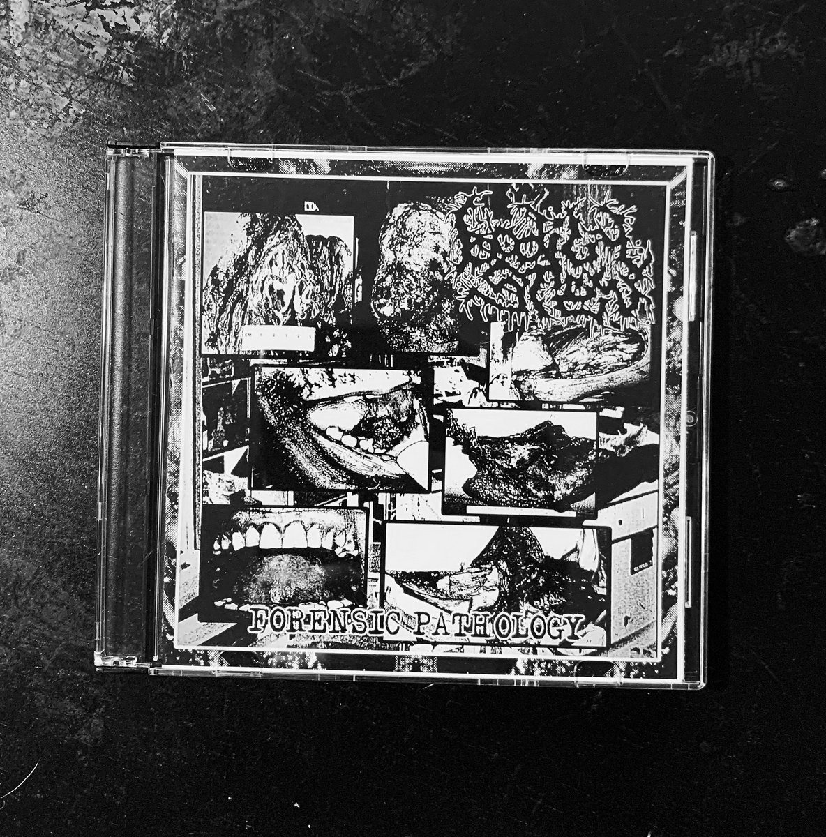 FORENSIC PATHOLOGY | BODILY STEW | DESICCATED FLESH COLLECTIVE