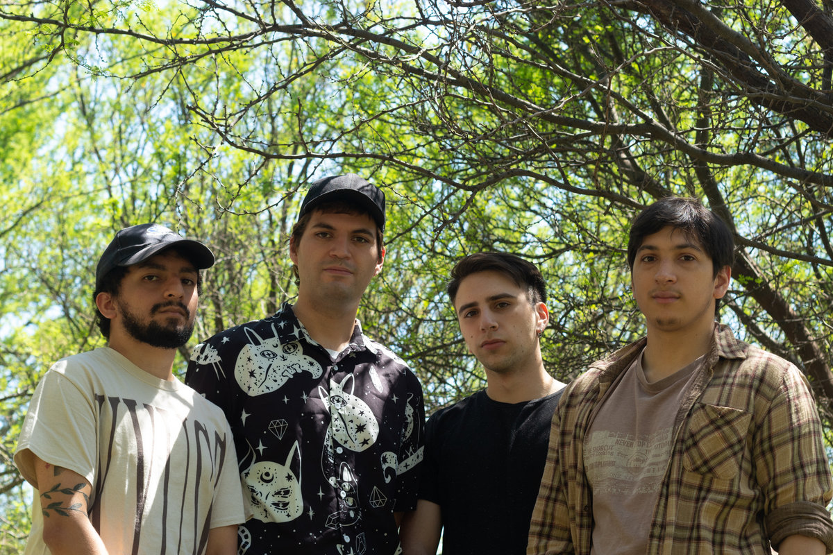 Historia Natural | .gatofantasma