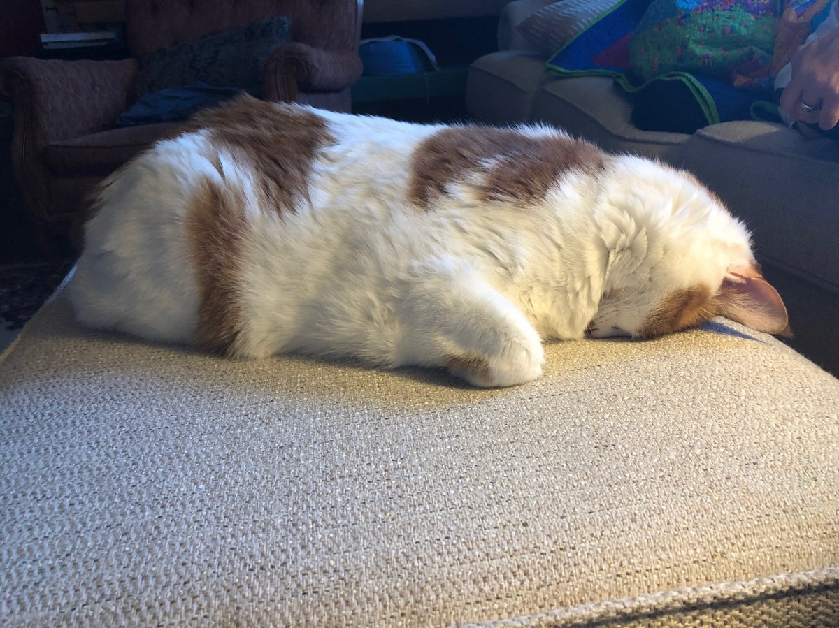 Out In the Dark | Allan Maki