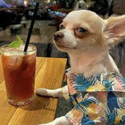 GATEWAY 2000 (Remastered) | MindSpring Memories