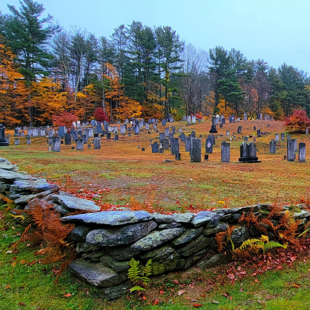 fast_armadillo's collection | Bandcamp