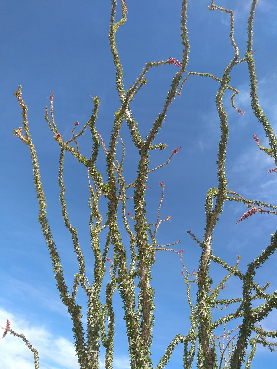 KIJJAM! Live in Laveta Loca Studio 20230104 | Laveta Loca Studio