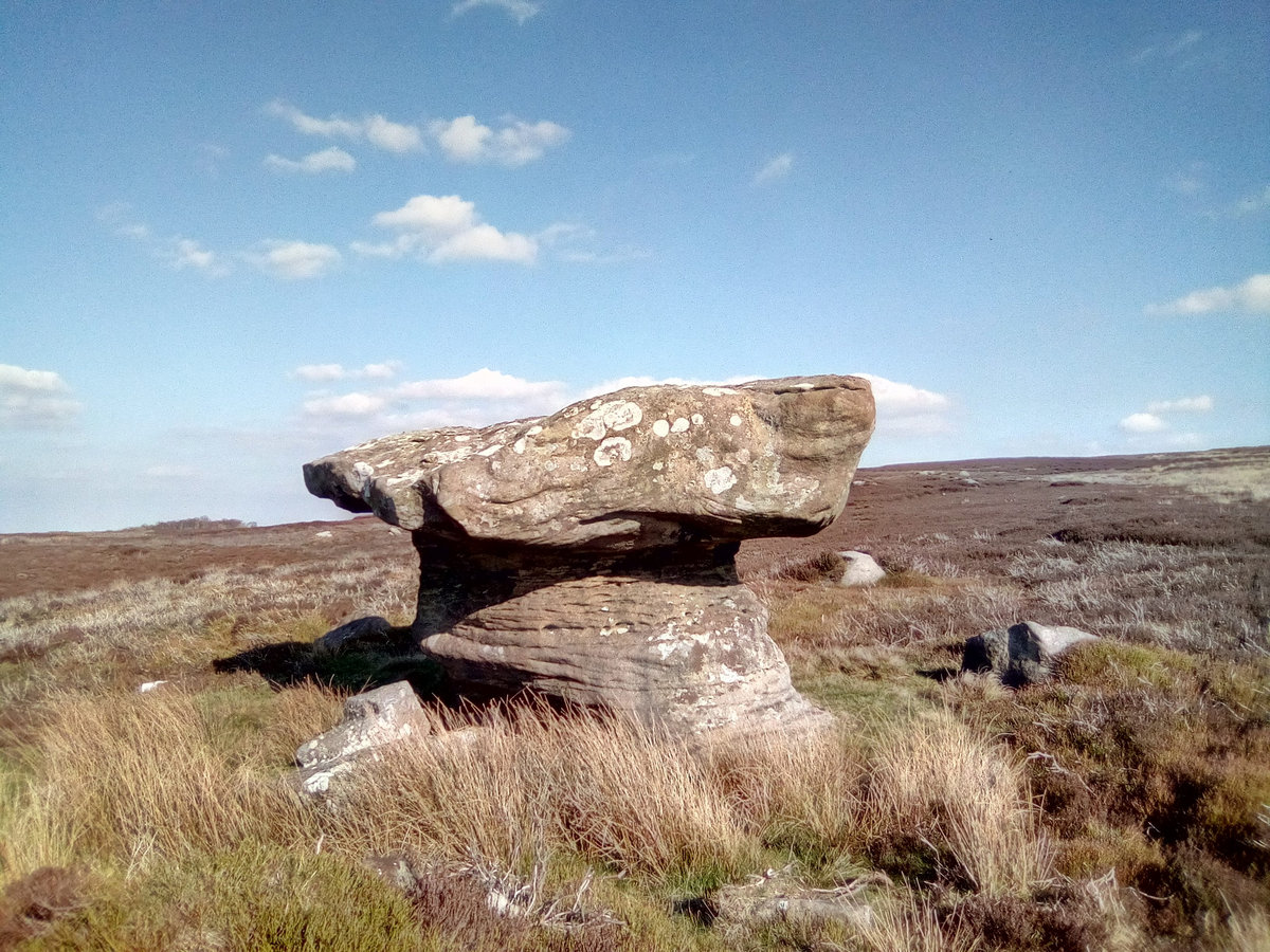 darklight | angram damn