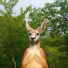 Implosion | The Bug vs Ghost Dubs