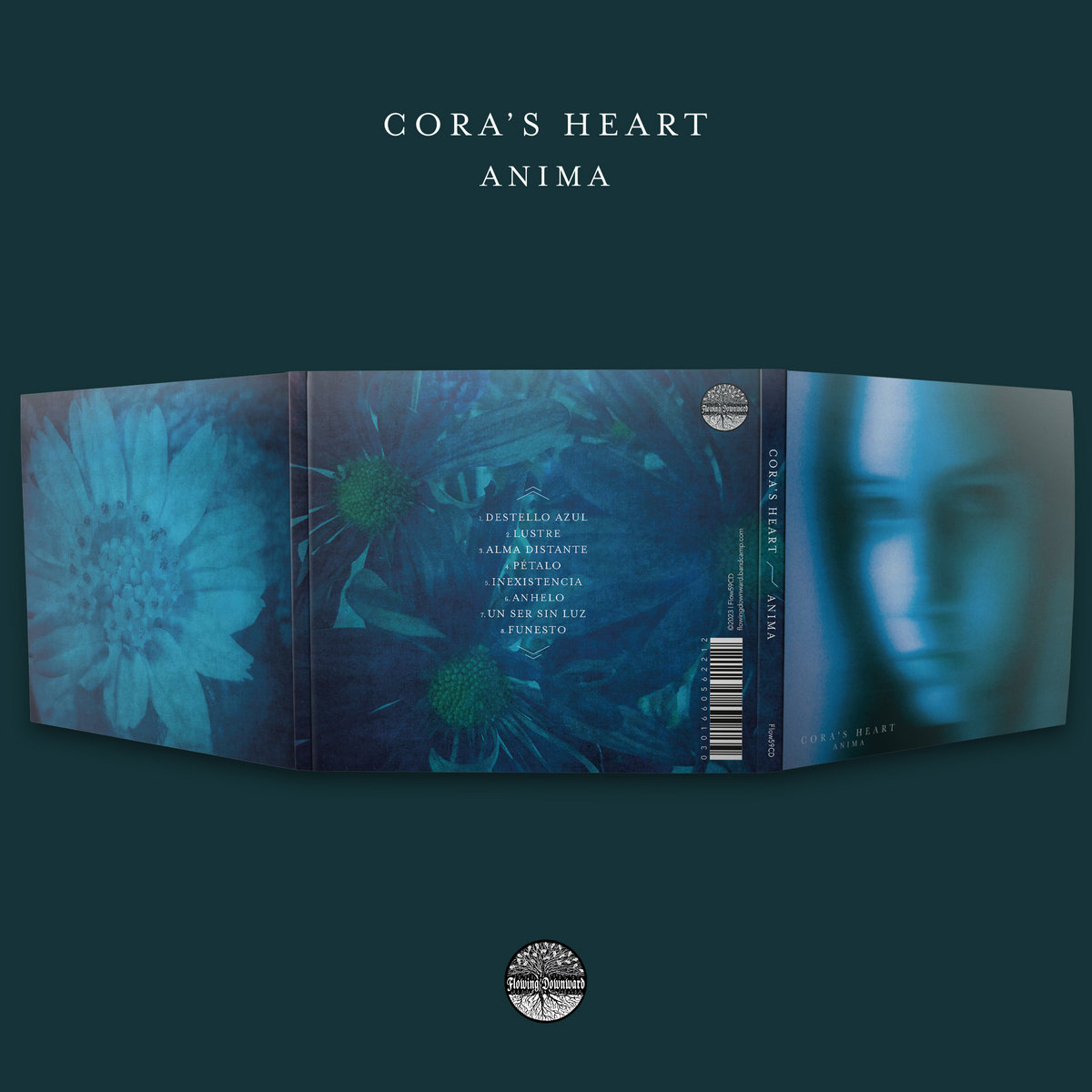 Anima | Cora's Heart | Flowing Downward