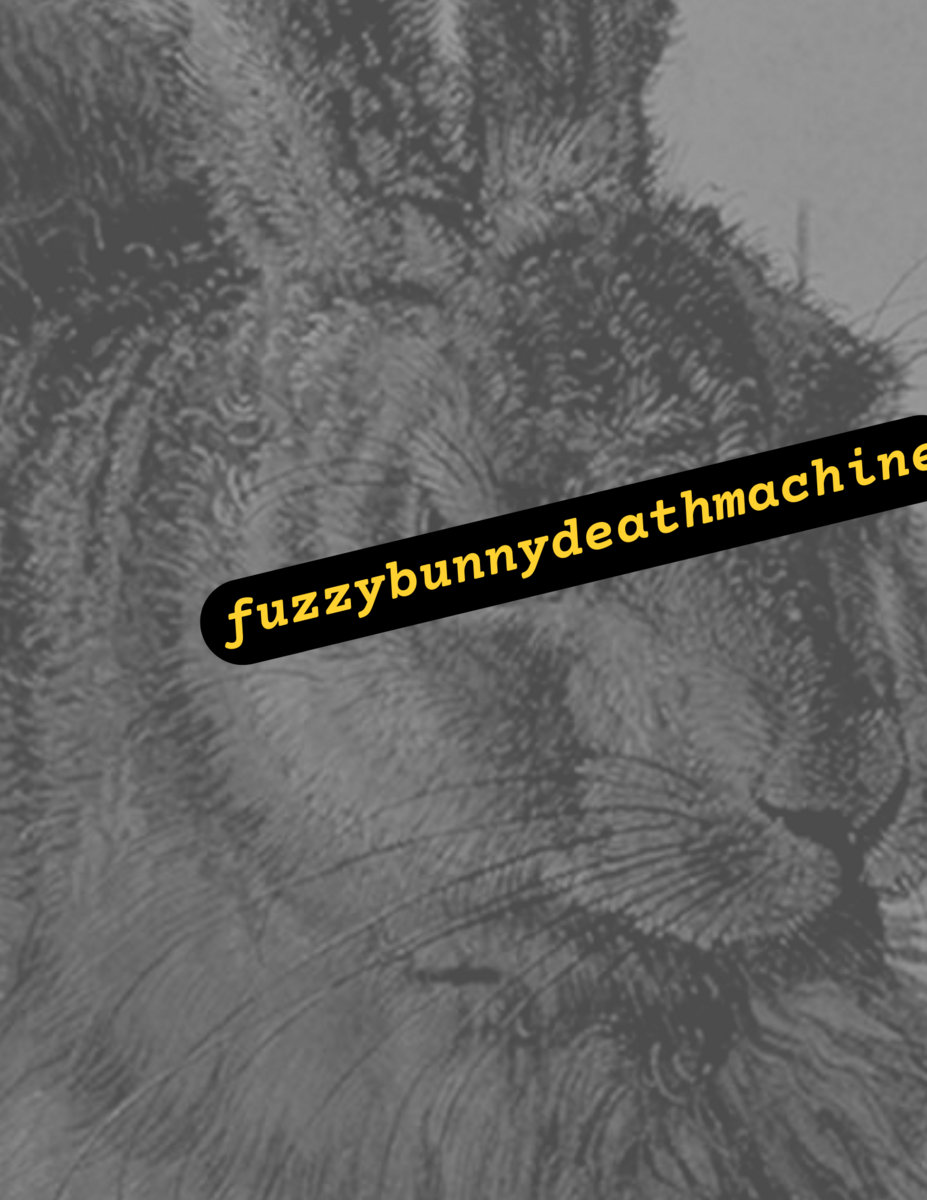 fuzzybunnydeathmachine | Fuzzy Bunny Death Machine