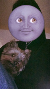 Music | Juke the Tiger