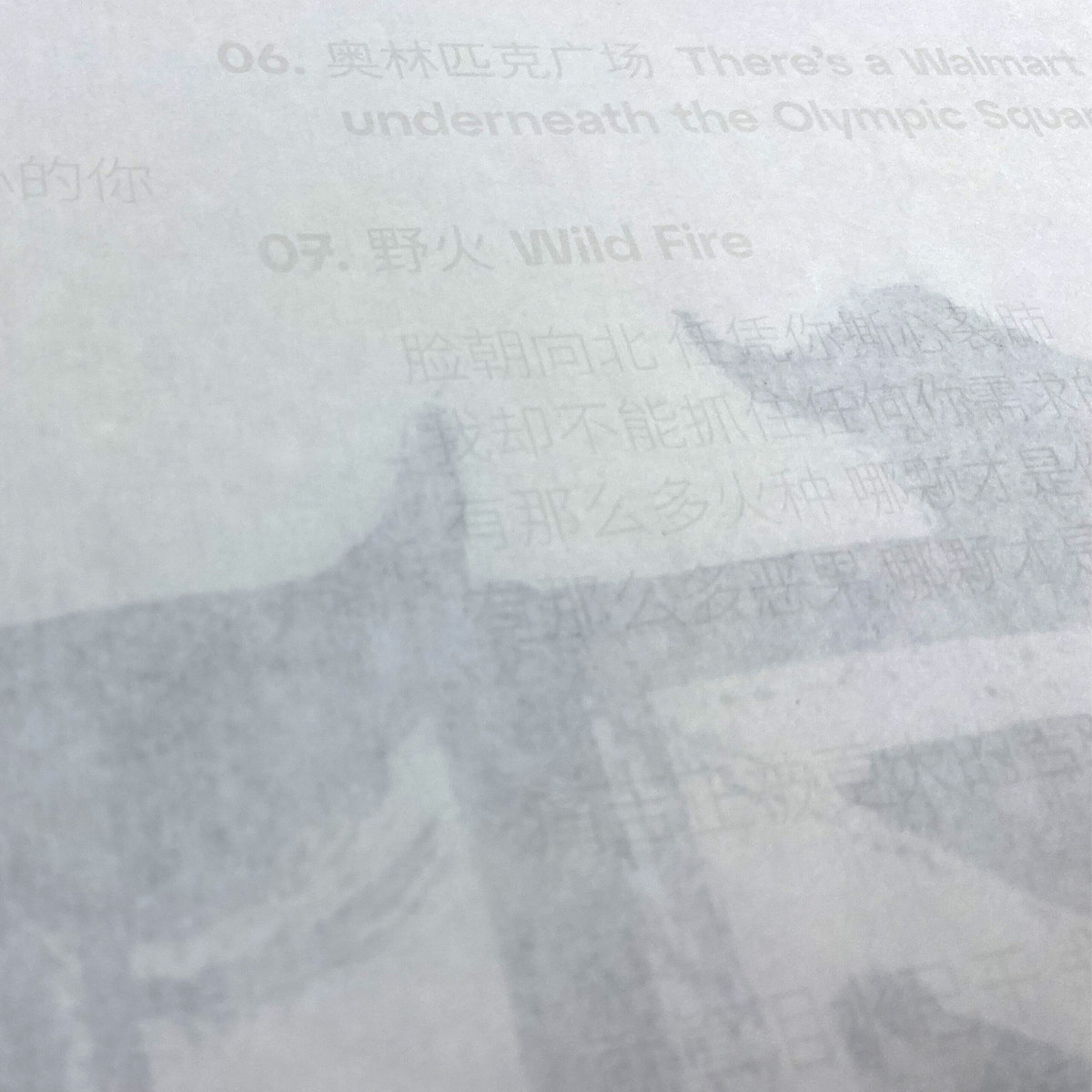 Painful Clown & Ninja Tiger | Wang Wen | Wang Wen 惘闻