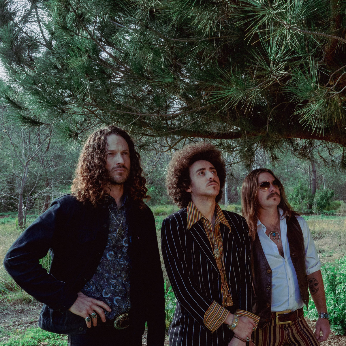 What You Feel | King Tree & the Earthmothers