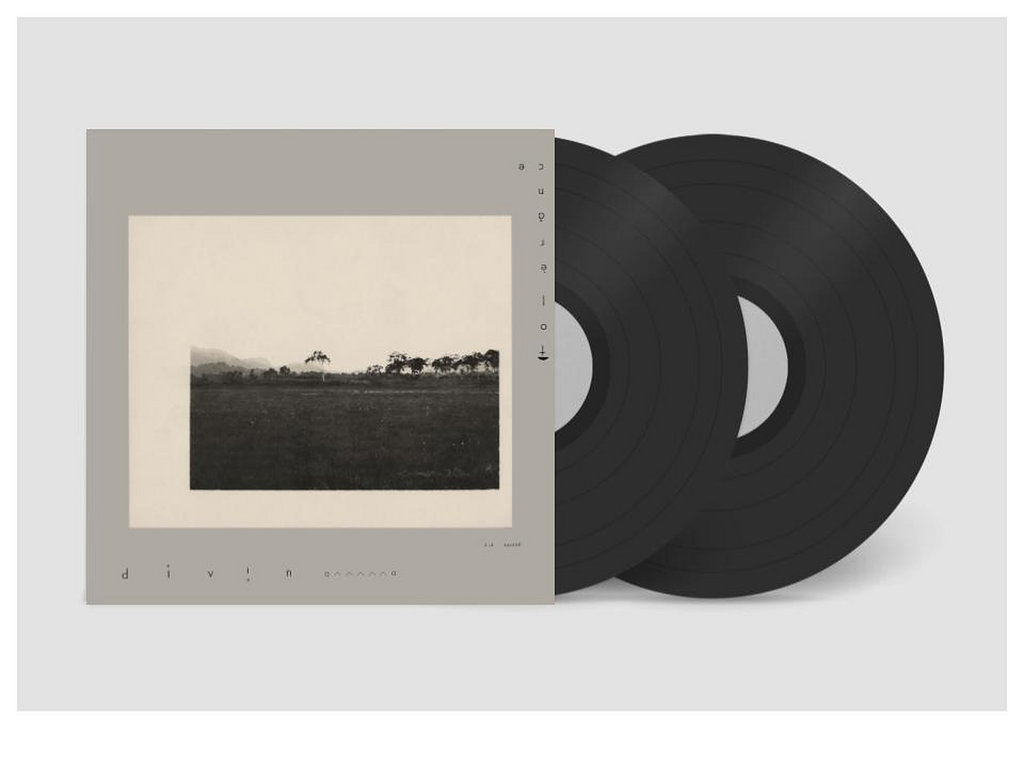 The Infinite Reflections of Vanity Records | Bandcamp Daily