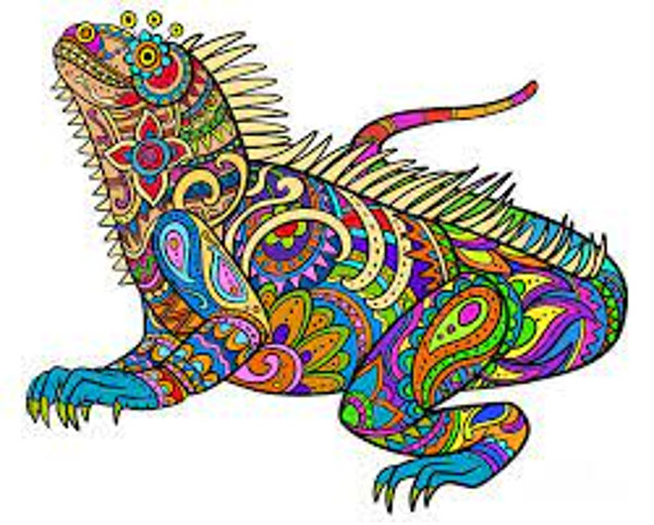 Polar Vortex | The Return Of The Lizard King