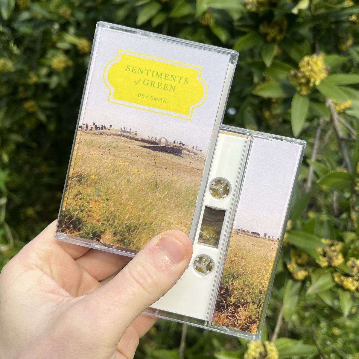 [JGT83] "Sentiments Of Green" | Dev Smith | JUNGLE GYM RECORDS