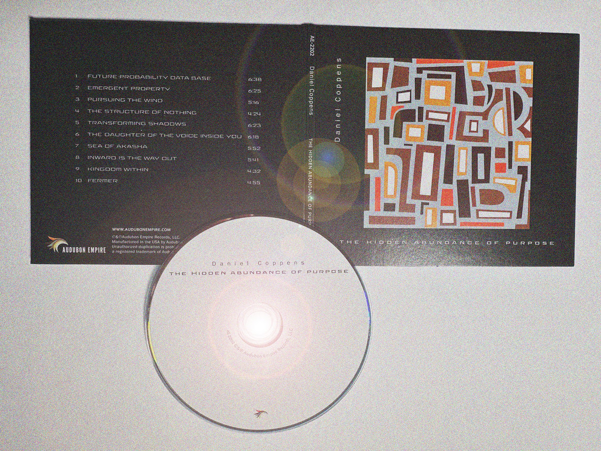 The Hidden Abundance of Purpose | Daniel Coppens