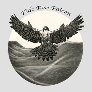 Music | Tide Rise Falcon