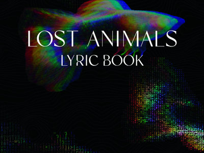 Lost Animals Lyric Book | Jenny Colquitt