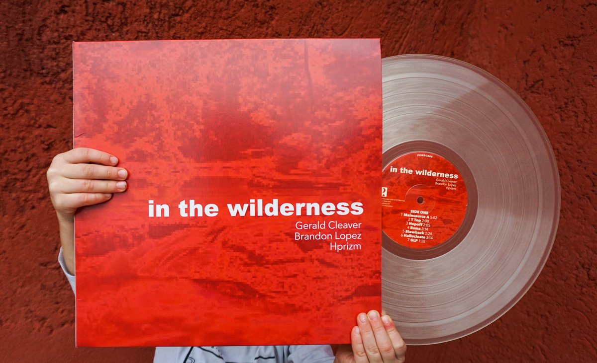 In The Wilderness | Gerald Cleaver, Brandon Lopez, Hprizm | Positive Elevation