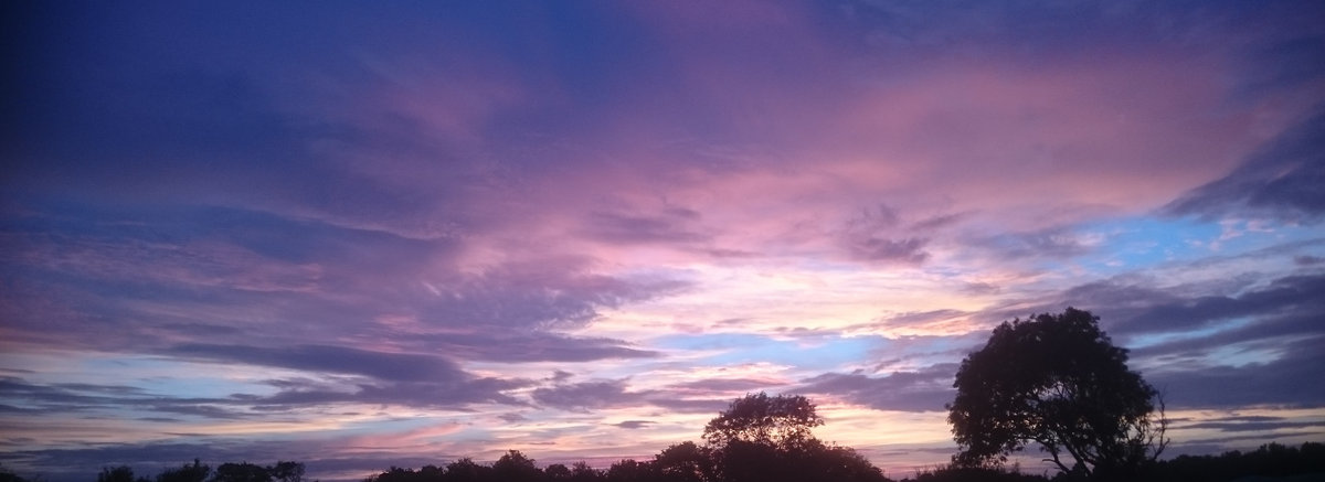 Something More | Daniel Buxton